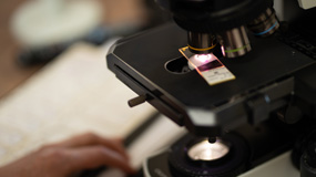 Pathology Molecular Diagnostics - UChicago Medicine